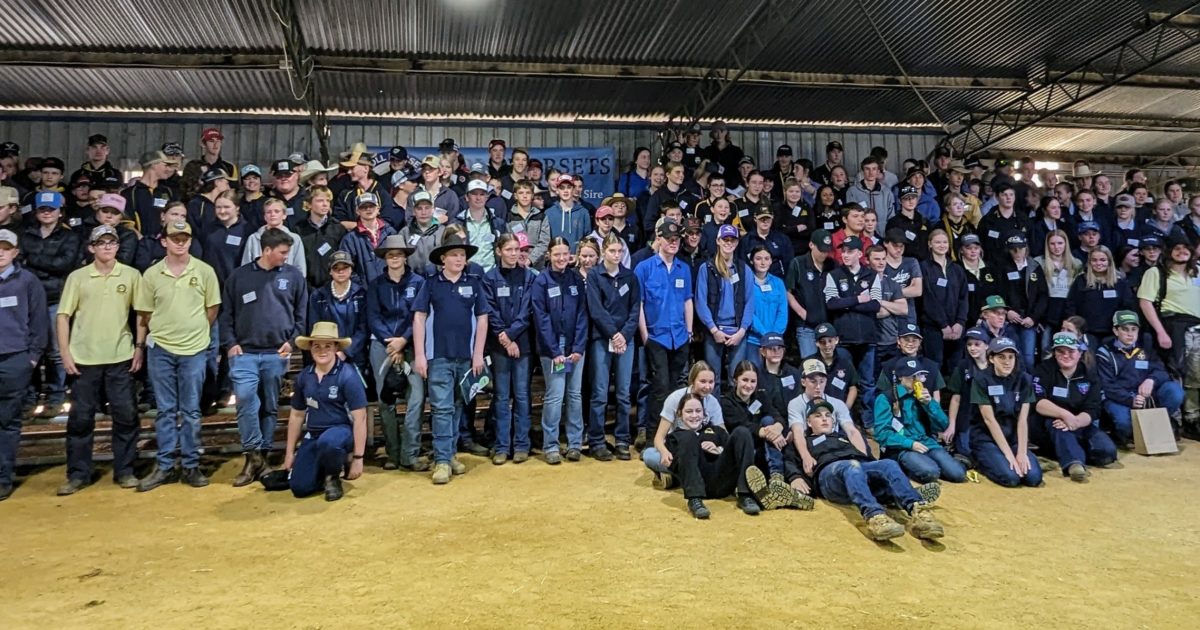 Students flock to Cowra for Poll Dorset Youth Day • Australian Poll ...