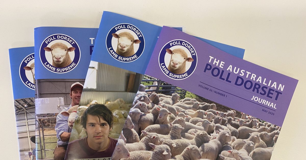 Poll Dorset Journal • Australian Poll Dorset Association