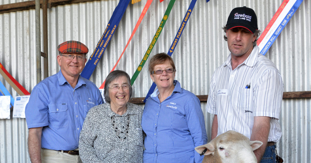 Members Listing • Australian Poll Dorset Association