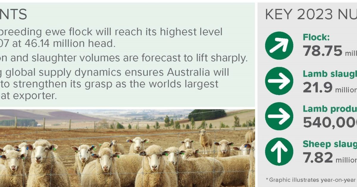 Australia to strengthen grip as the largest sheepmeat exporter ...