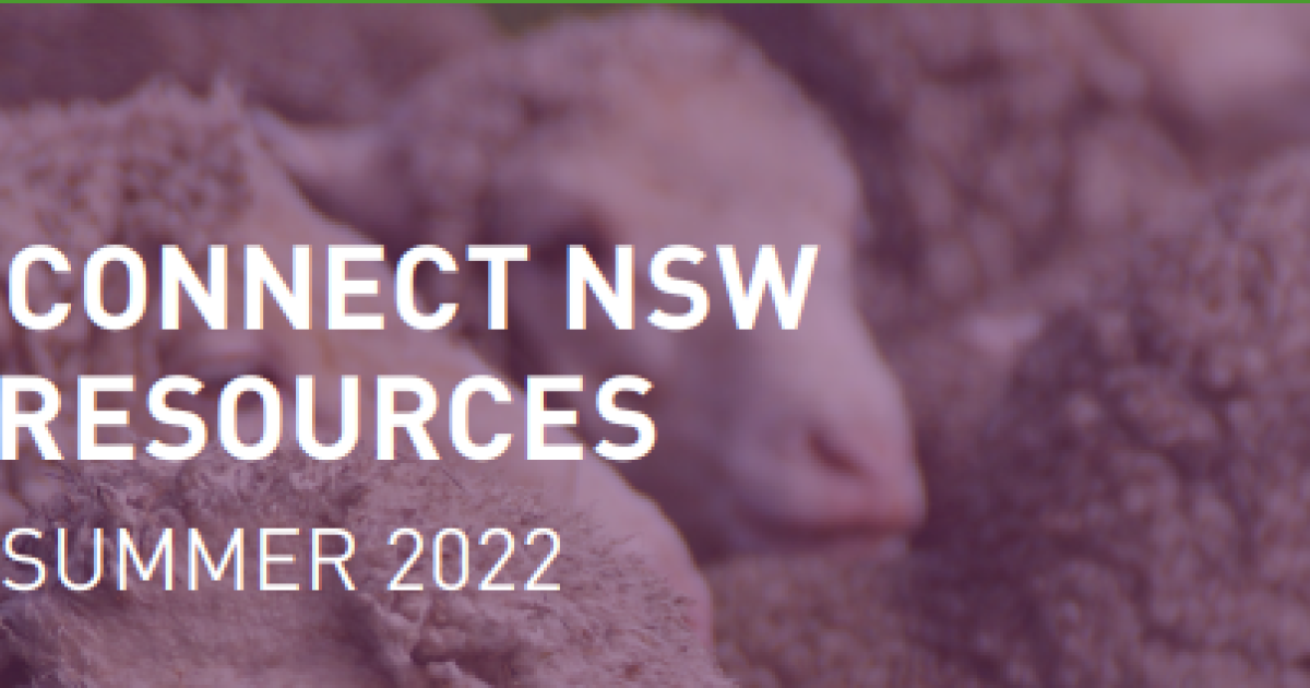 Worms worms and more worms: Sheep Connect NSW • Australian Poll Dorset ...