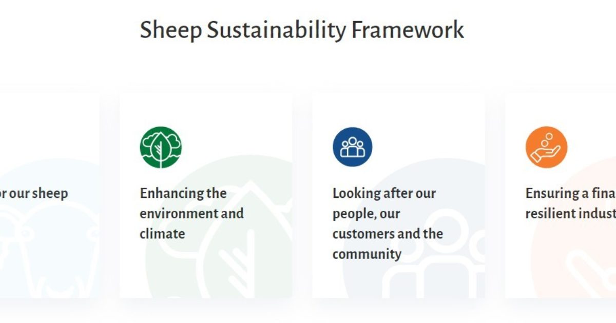 World-first sustainability scorecard for sheep and wool industry ...